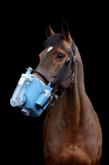 Flexineb :: Equismart